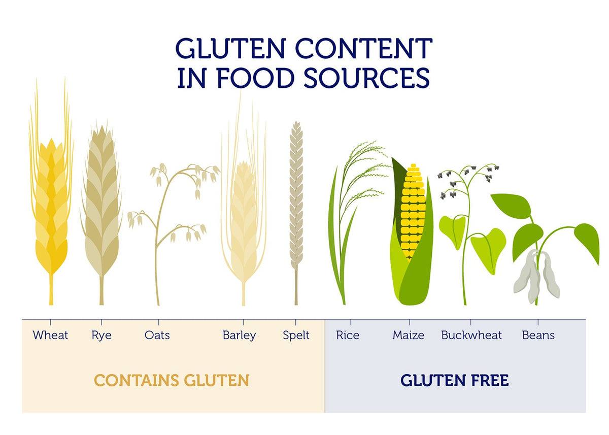 Food Allergy & Compatibility for Gluten – MEDsan